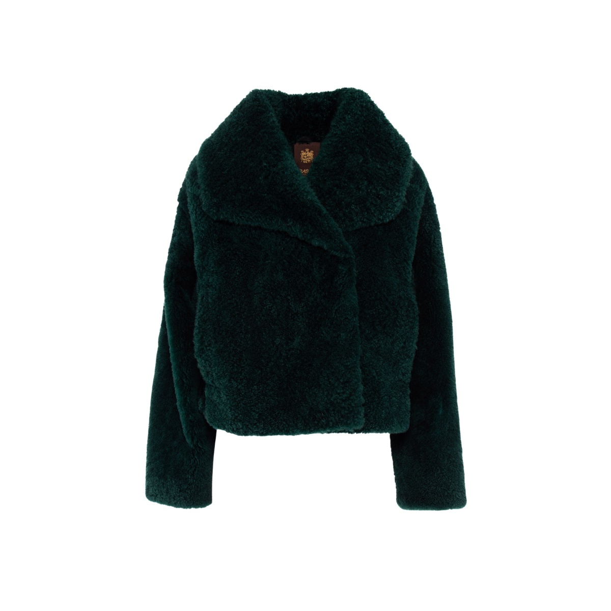 BRASCHI | Coveti