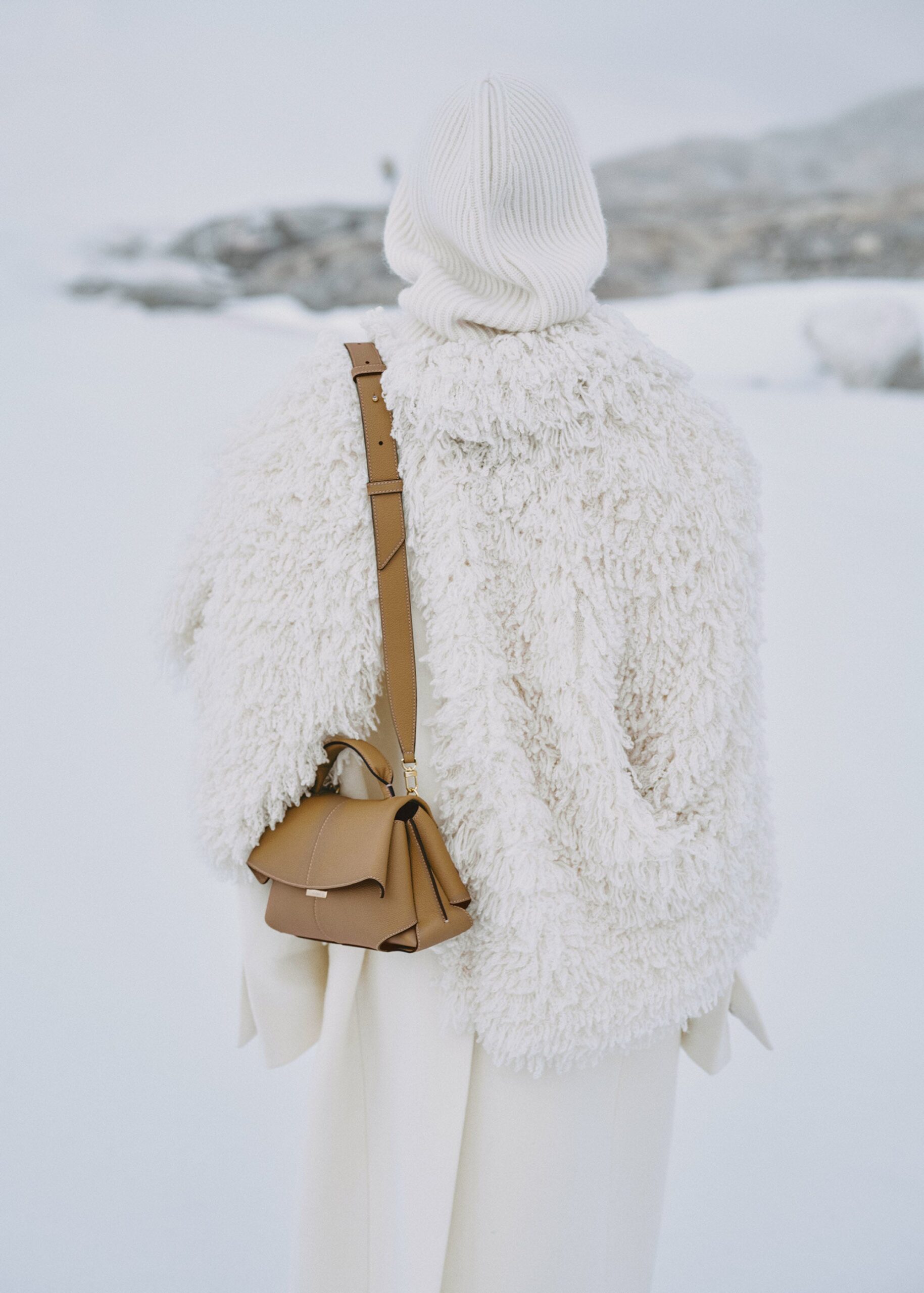 Polene Bag | 2025 Quiet Luxury Parisian Designer Collection | Coveti